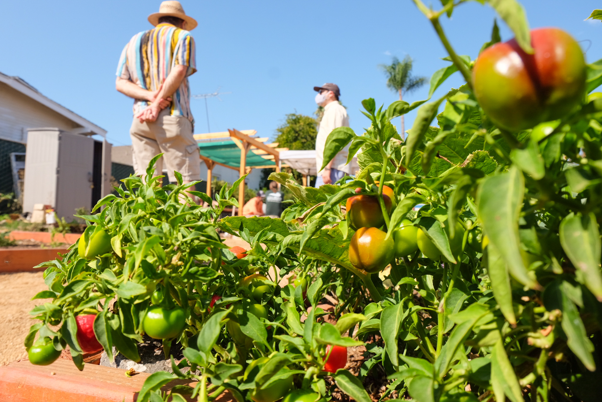 Annual Garden Fundraiser Brings Out Long Beach Locals’ Green Thumb ...