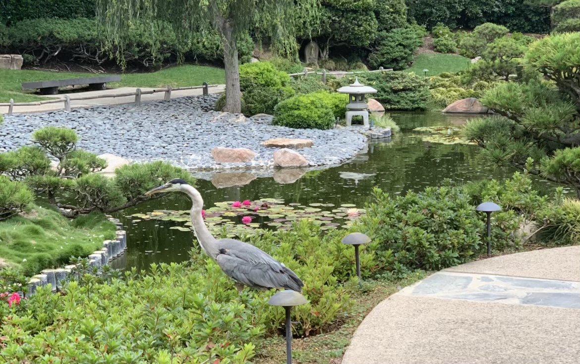 Experience History Through Historical Long Beach Sites - Long Beach ...