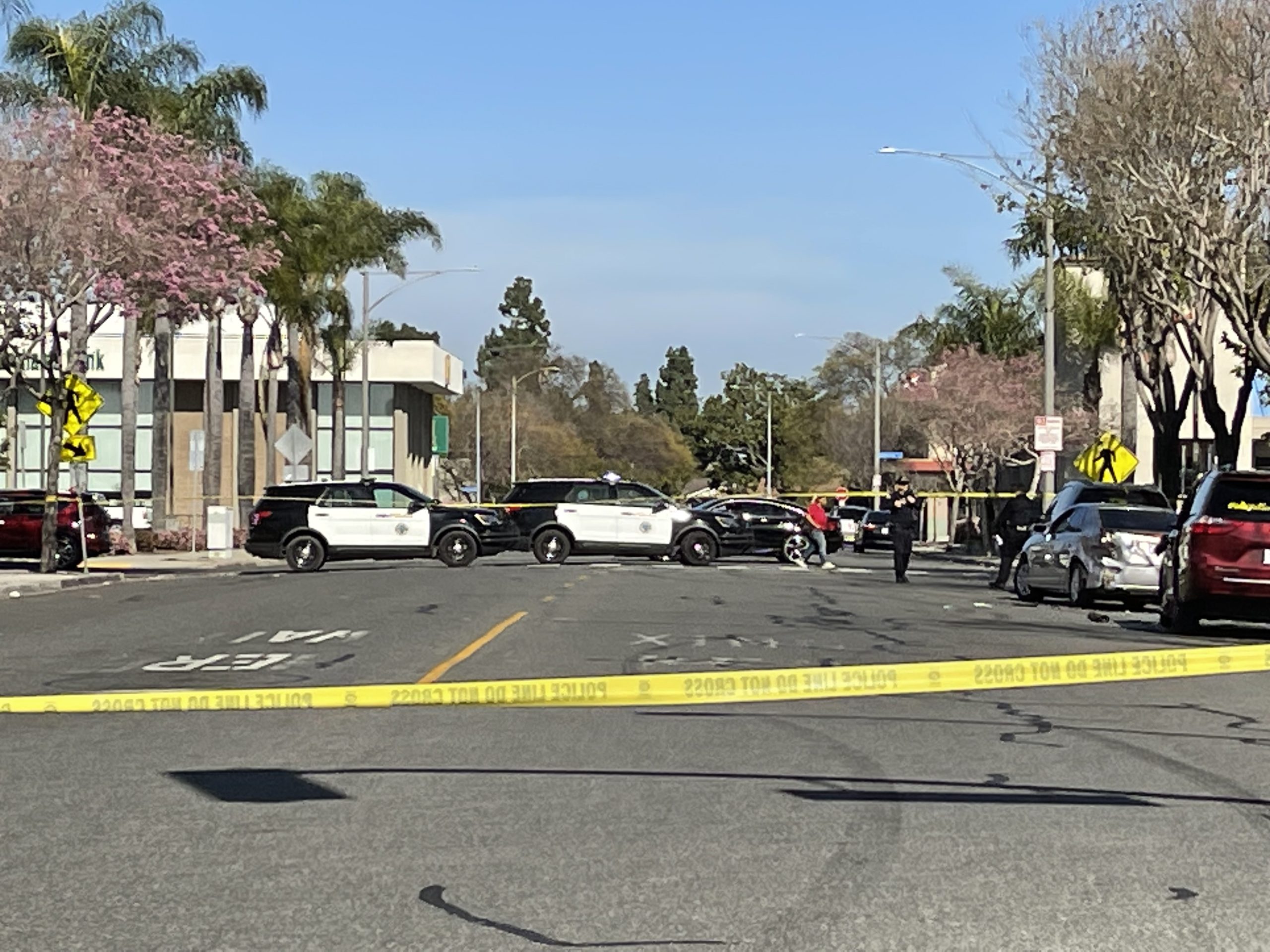 Man killed in hit-and-run collision, suspect arrested - Long Beach ...