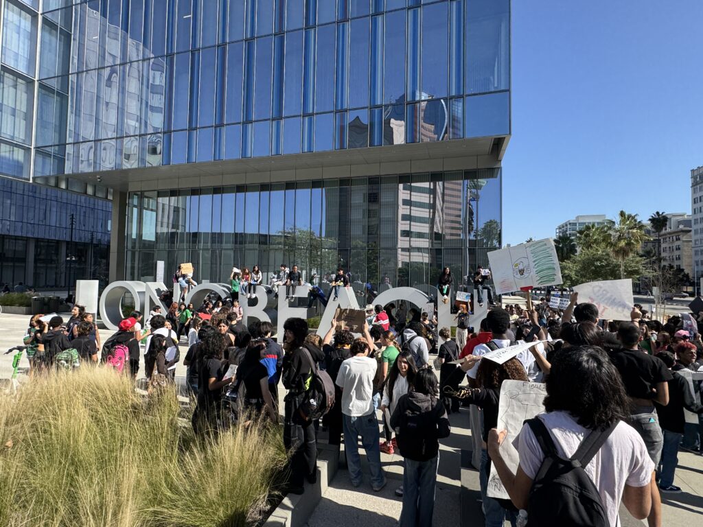 Trump Supporter Targeted With Thrown Items During ICE Protest in Long ...